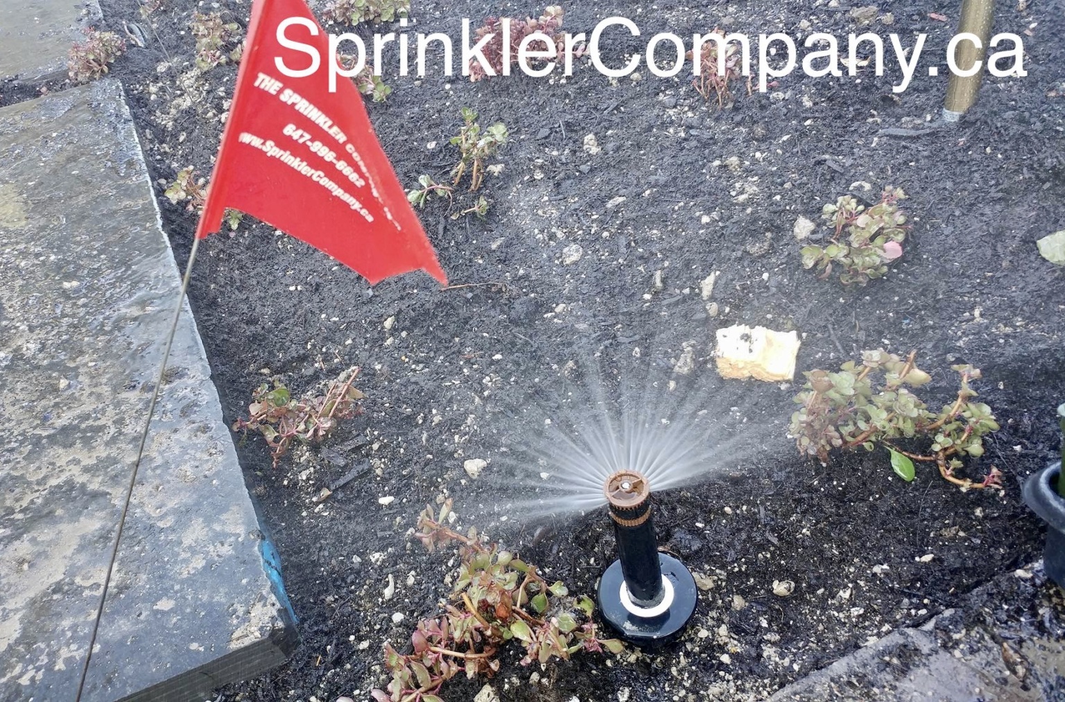 Commercial Lawn Sprinklers - The Sprinkler Company Inc.