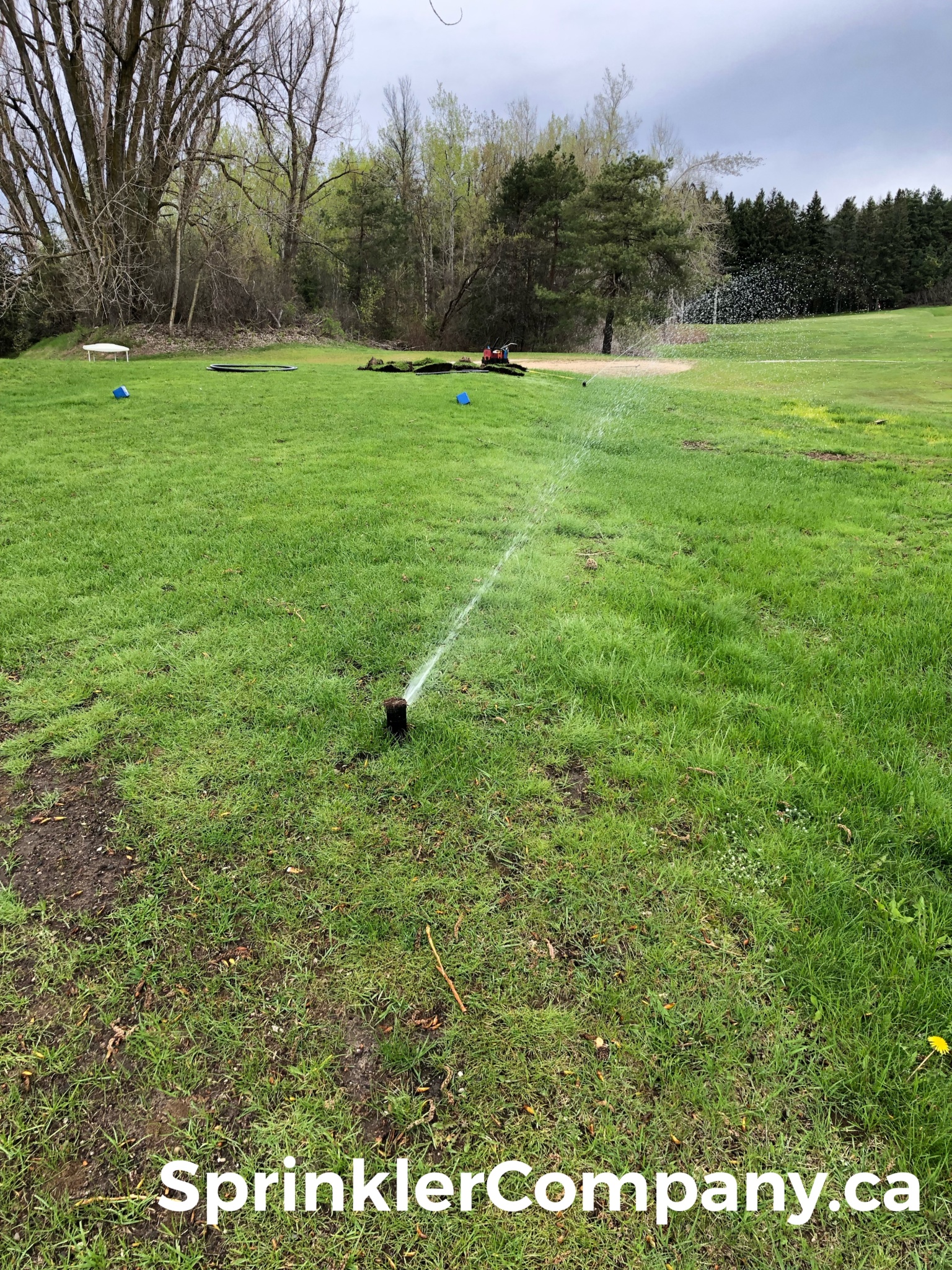 Commercial Lawn Sprinklers - The Sprinkler Company Inc.
