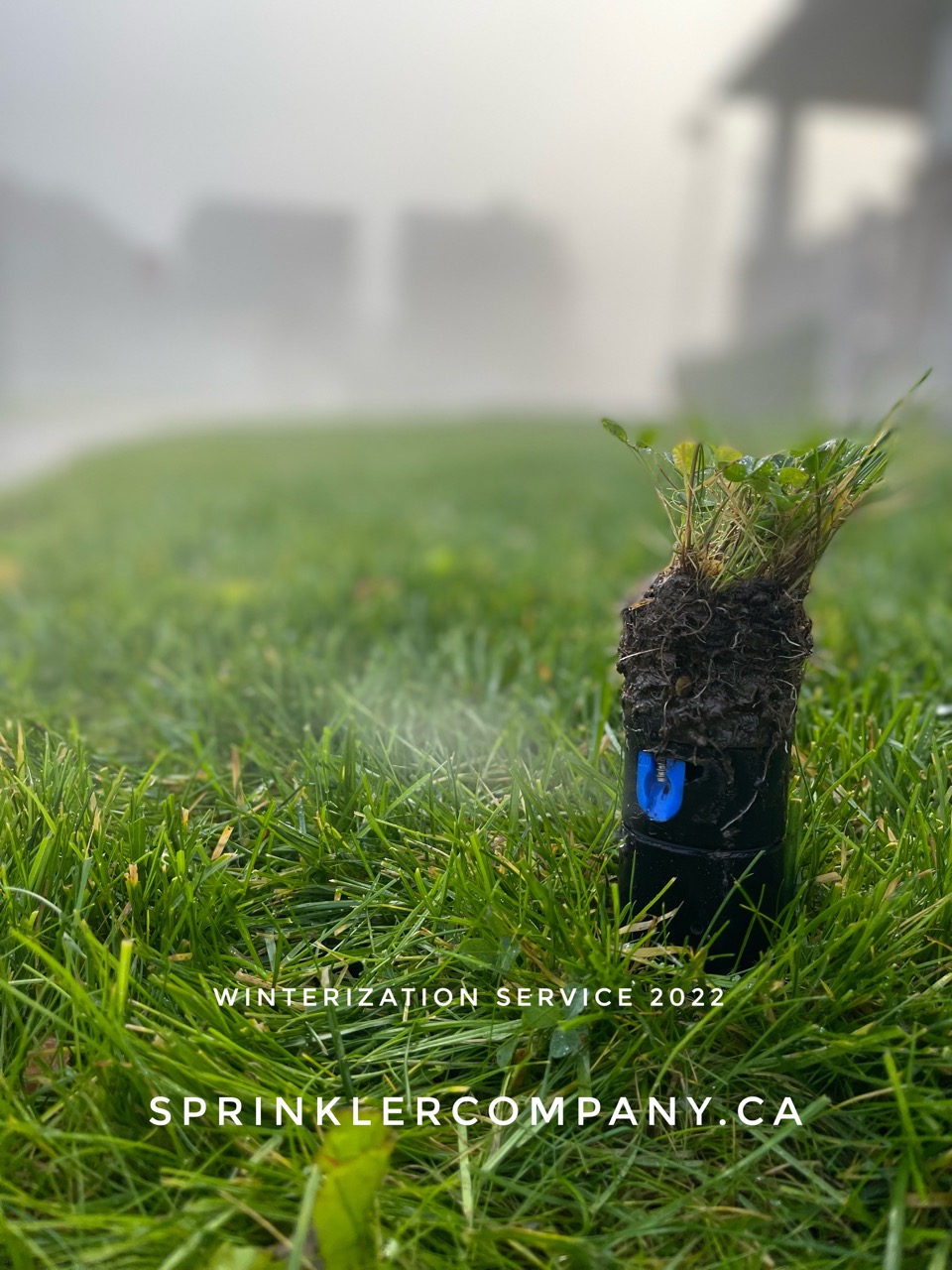 Residential Irrigation System | Residential Sprinkler System