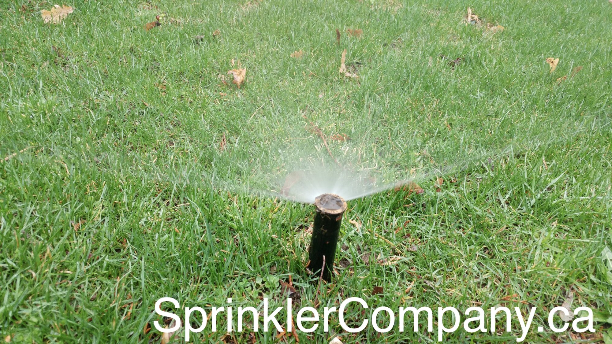 Replacing Sprinkler Heads - The Sprinkler Company Inc.