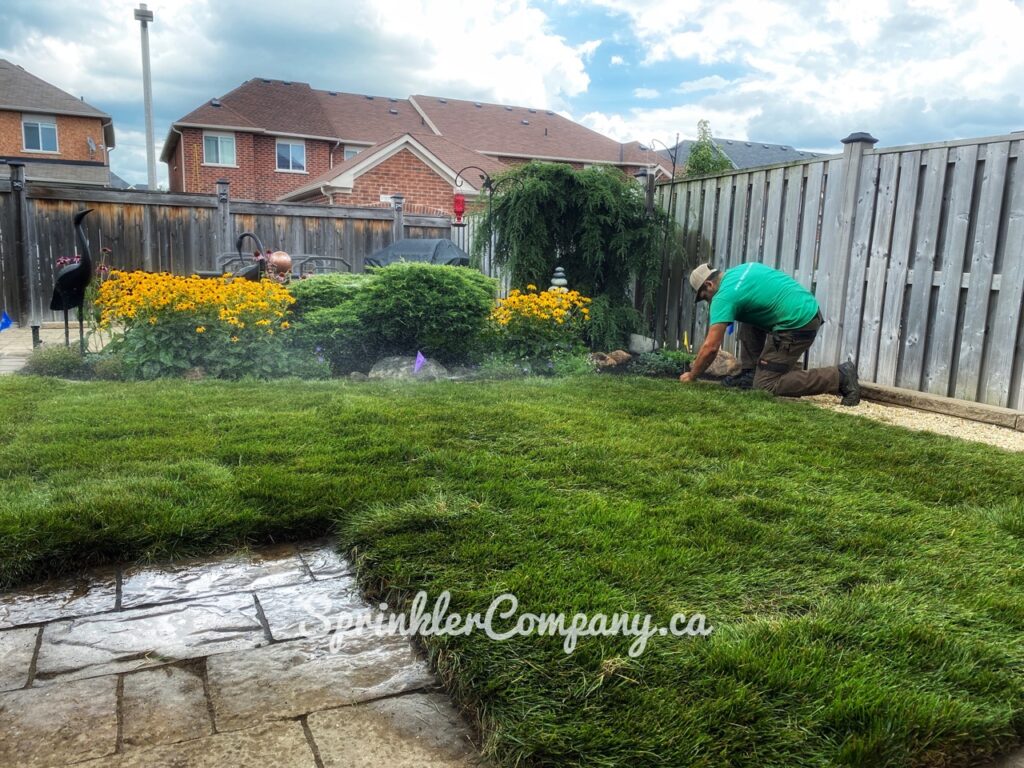 Sprinkler Line Repair