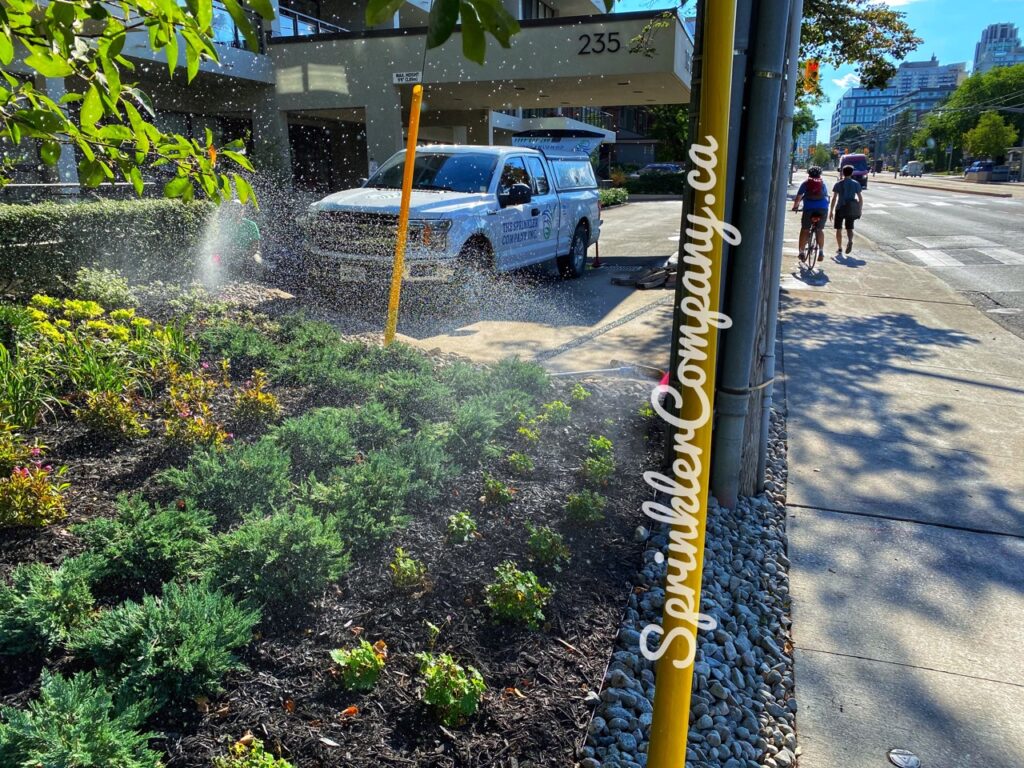 Sprinkler Line Repair