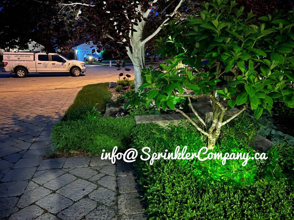 Commercial Outdoor Landscape Lighting Installation