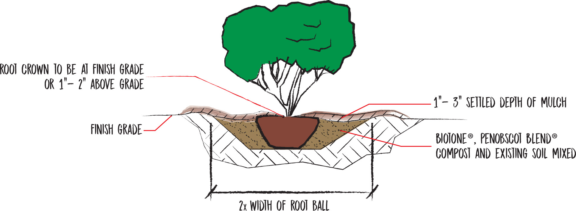 PLANTING SERVICES - The Sprinkler Company Inc.