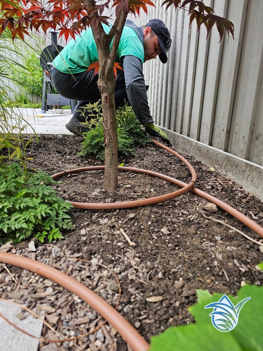 Etobicoke Irrigation Drain - The Sprinkler Company Inc.